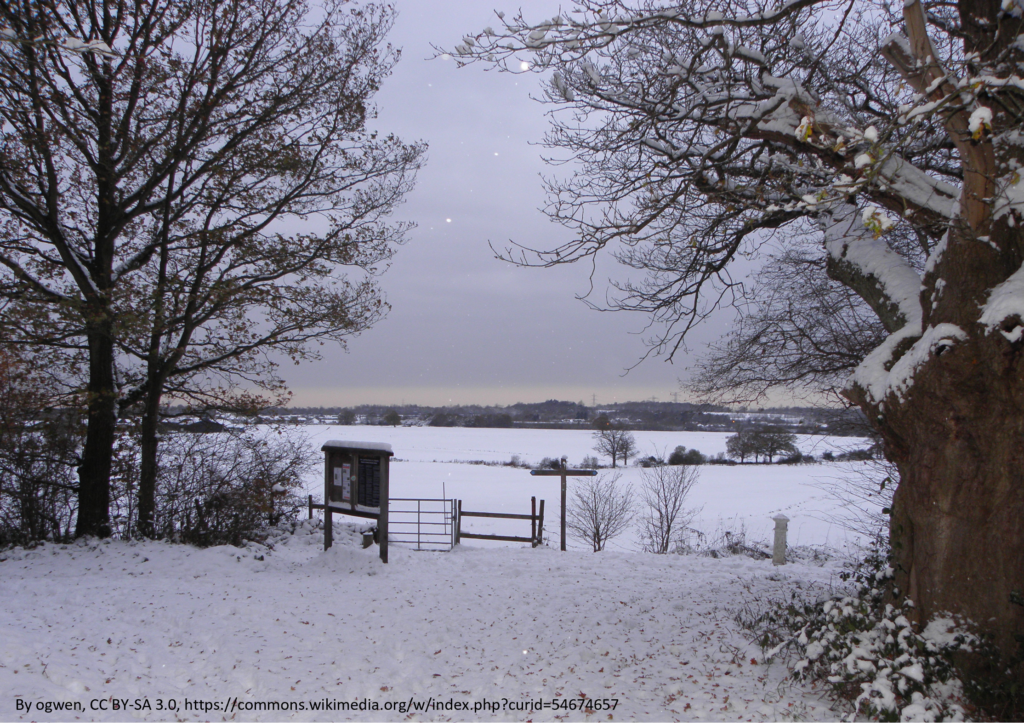 Long Walk- Reigate Heath to Buckland Circular - Leatherhead Community ...