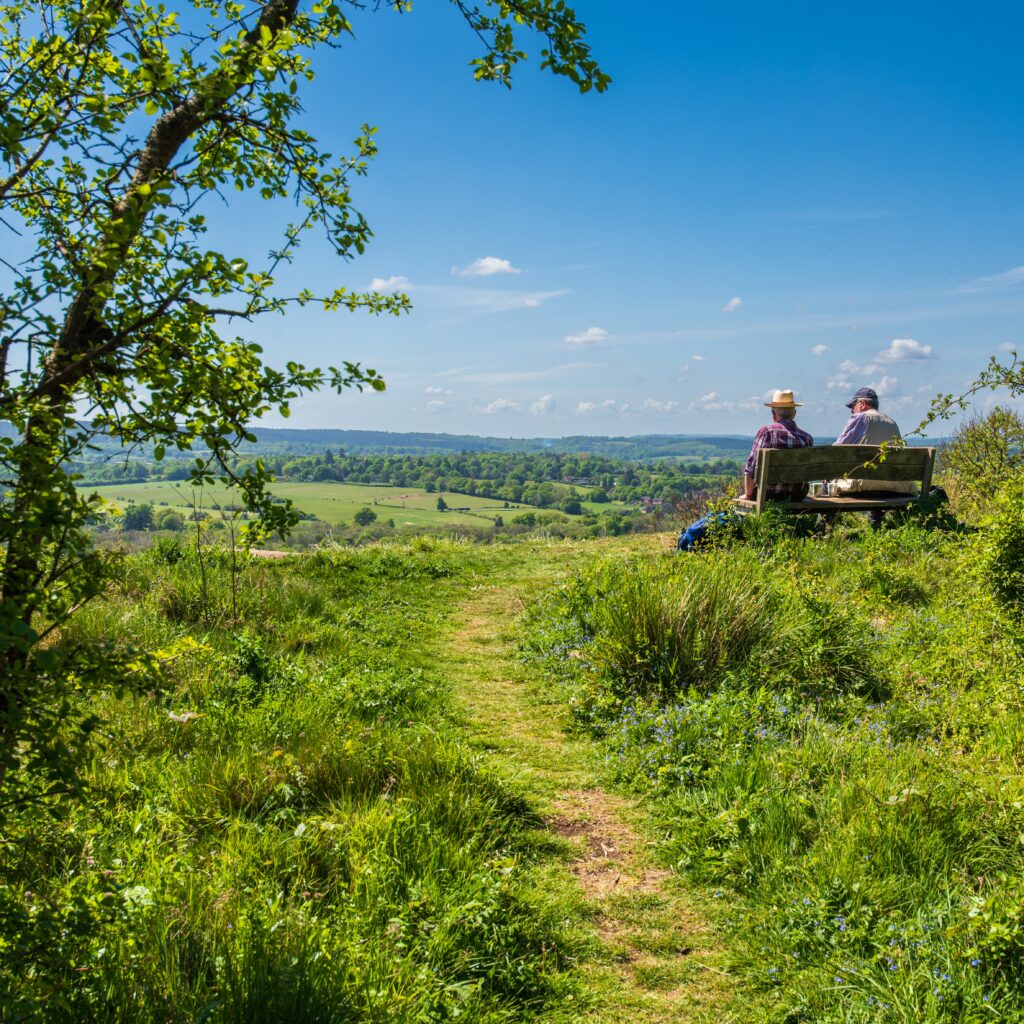 10 April- Walk Changed - Leatherhead Community Association
